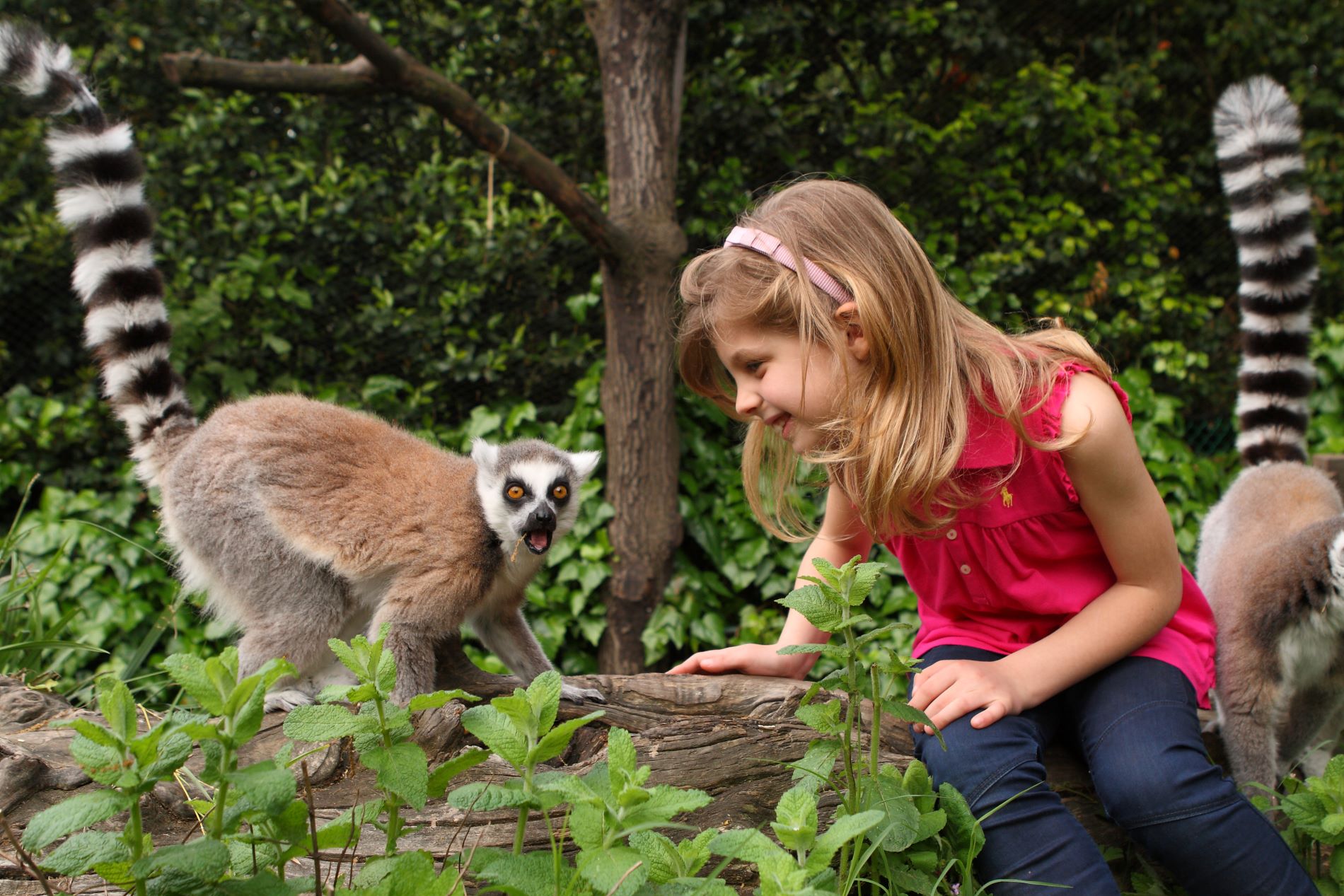 Giardino Zoologico Di Pistoia a Pistoia - Its4kids