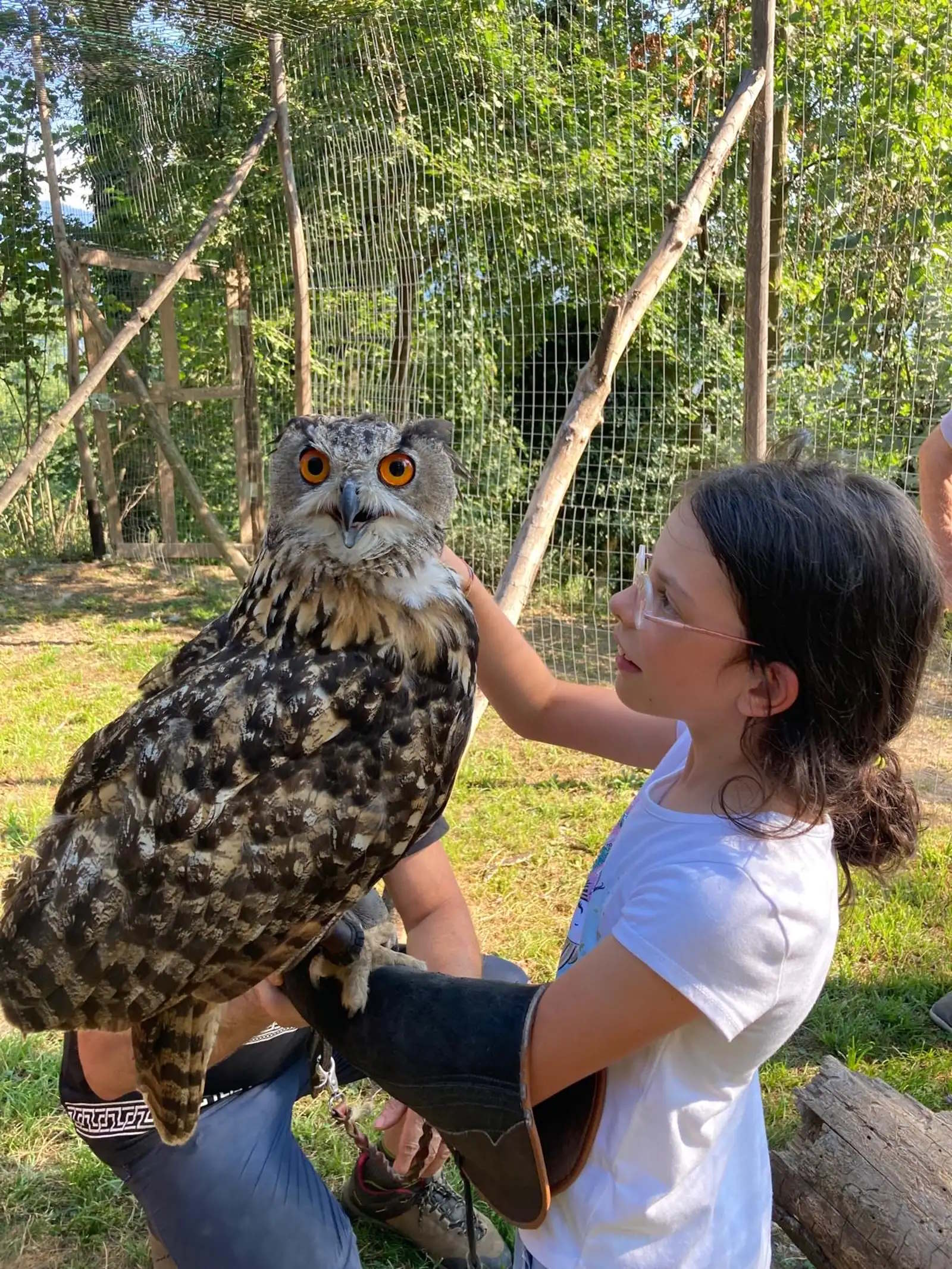 Alla scoperta dei Rapaci e degli animali da fattoria a Casalzuigno ...